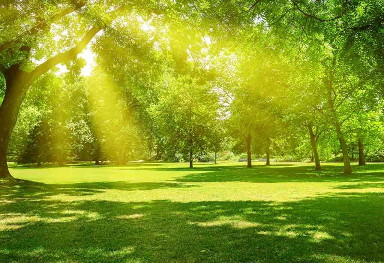 Why We Have Summer, Understanding the Seasons