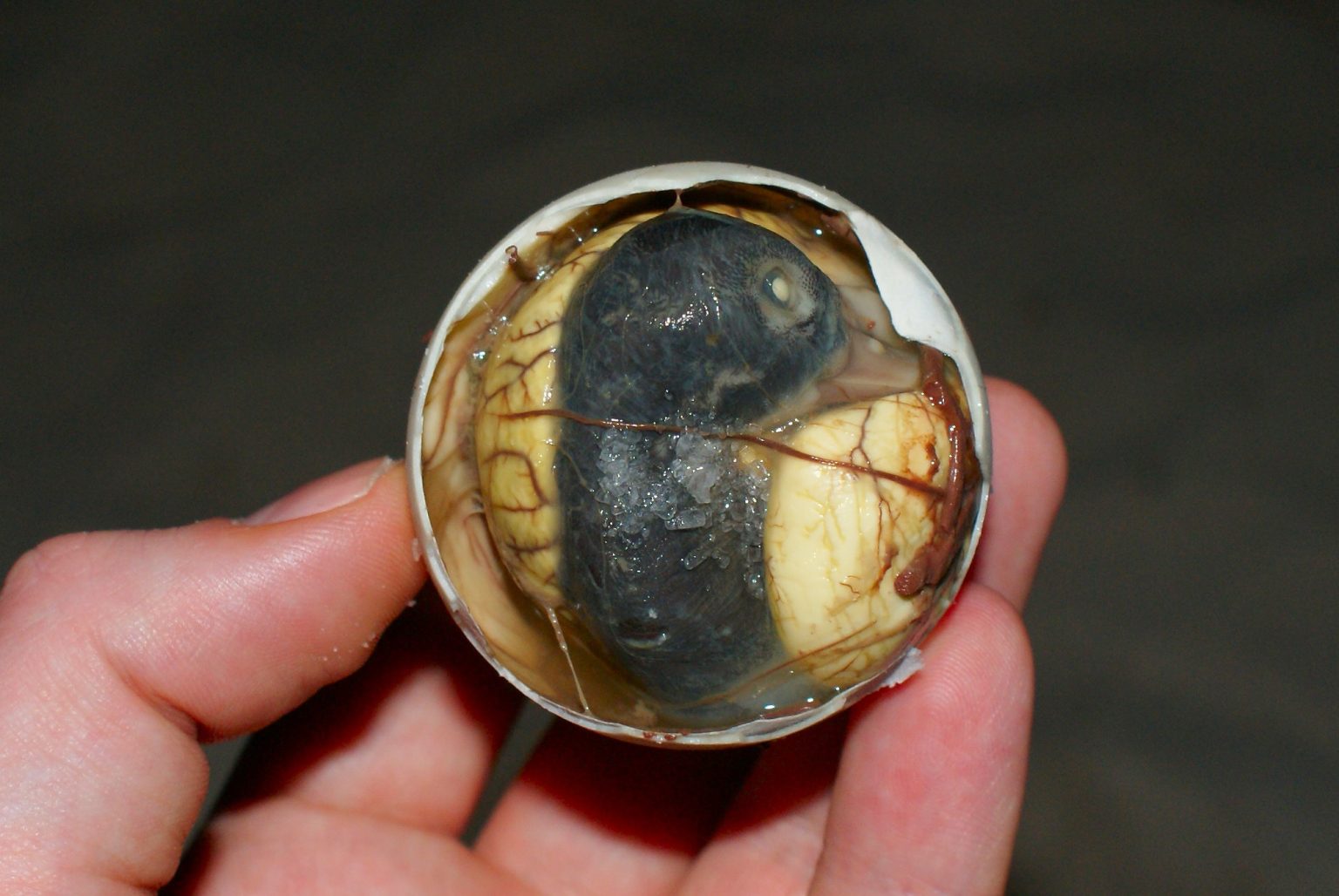 Balut - The Philippines’ Controversial Street Delicacy
